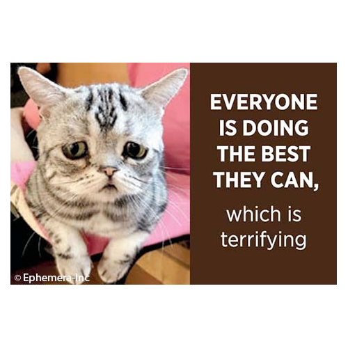 Realization Cat Meme