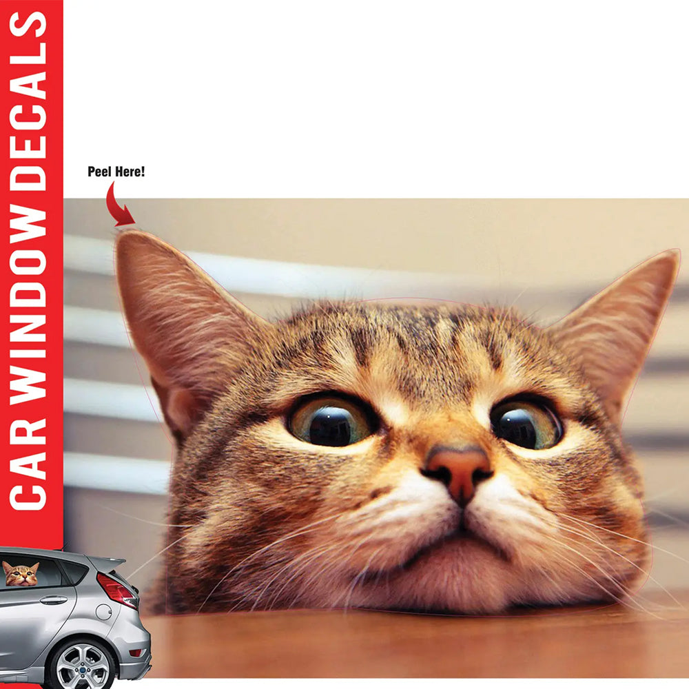 Cat Car Window Decal – Off the Wagon Shop