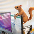 Office Squirrel - huge 8.5" squirrel – Off the Wagon Shop