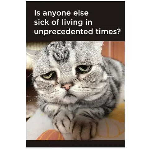 Magnet: Is Anyone Else Sick of Living In Unprecedented Times – Off the ...