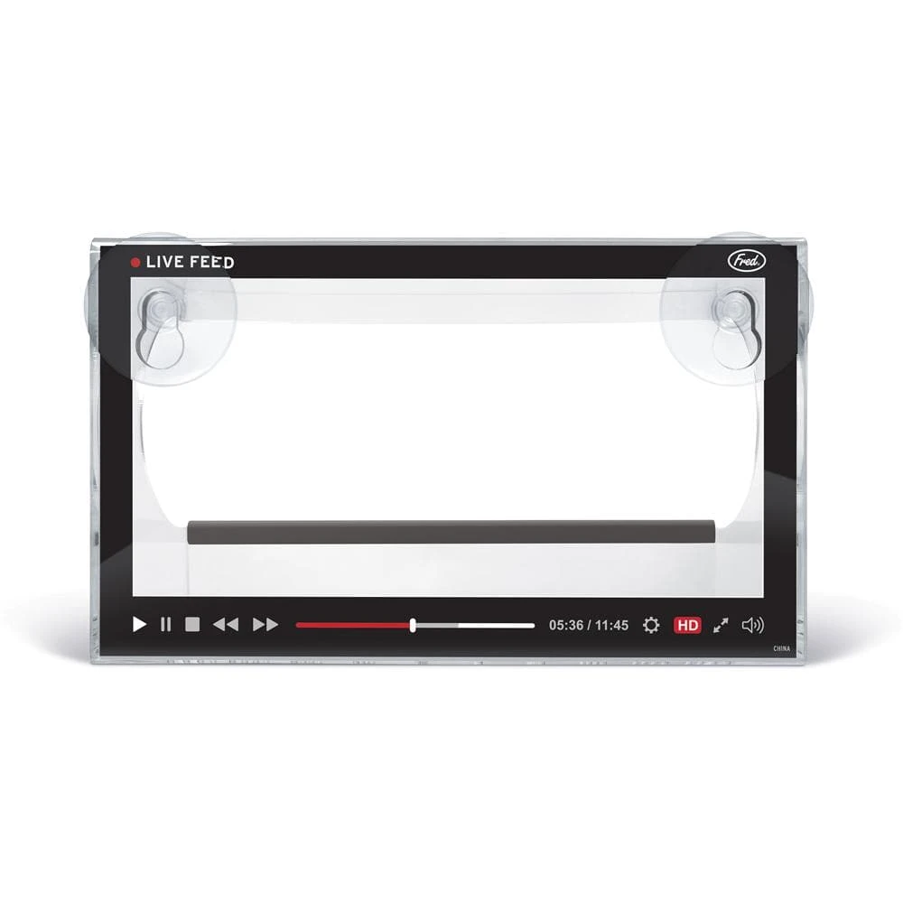 Live Feed - Watch Birds from your window – Off the Wagon Shop