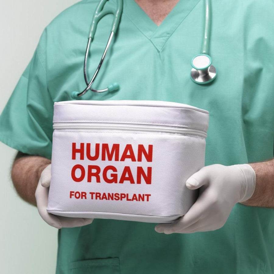 Human Organ Lunchbox – Off the Wagon Shop