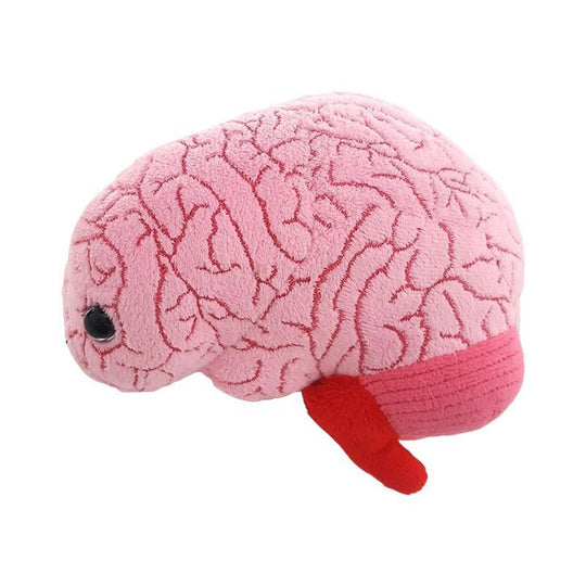 Giantmicrobes Brain Plush – Off the Wagon Shop