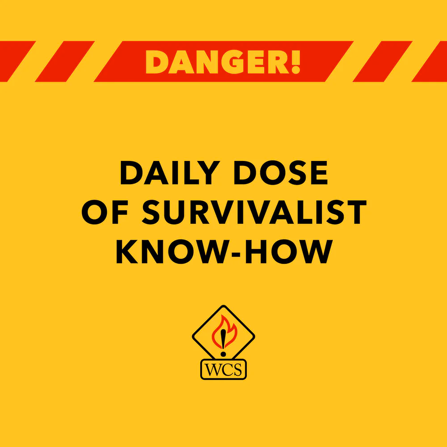 Worst Case Scenario 2026 Daily Survival Calendar – Off the Wagon Shop